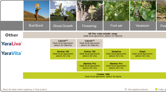Table Grape Fertilizer Program - Water Soluble | Yara India