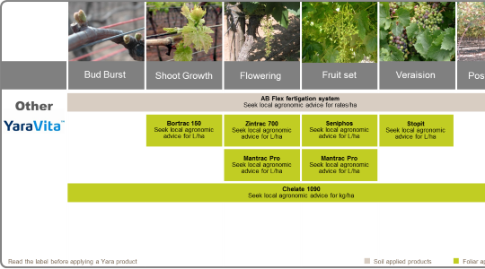 Table Grape Fertilizer Program - Liquid | Yara India