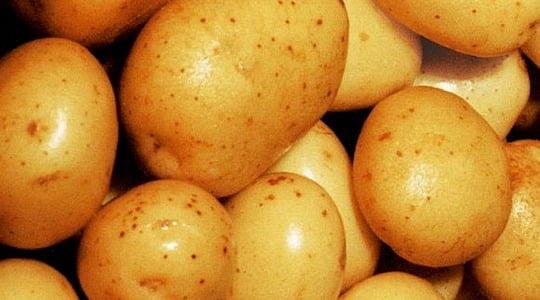 How to improve potato skin finish | Yara India